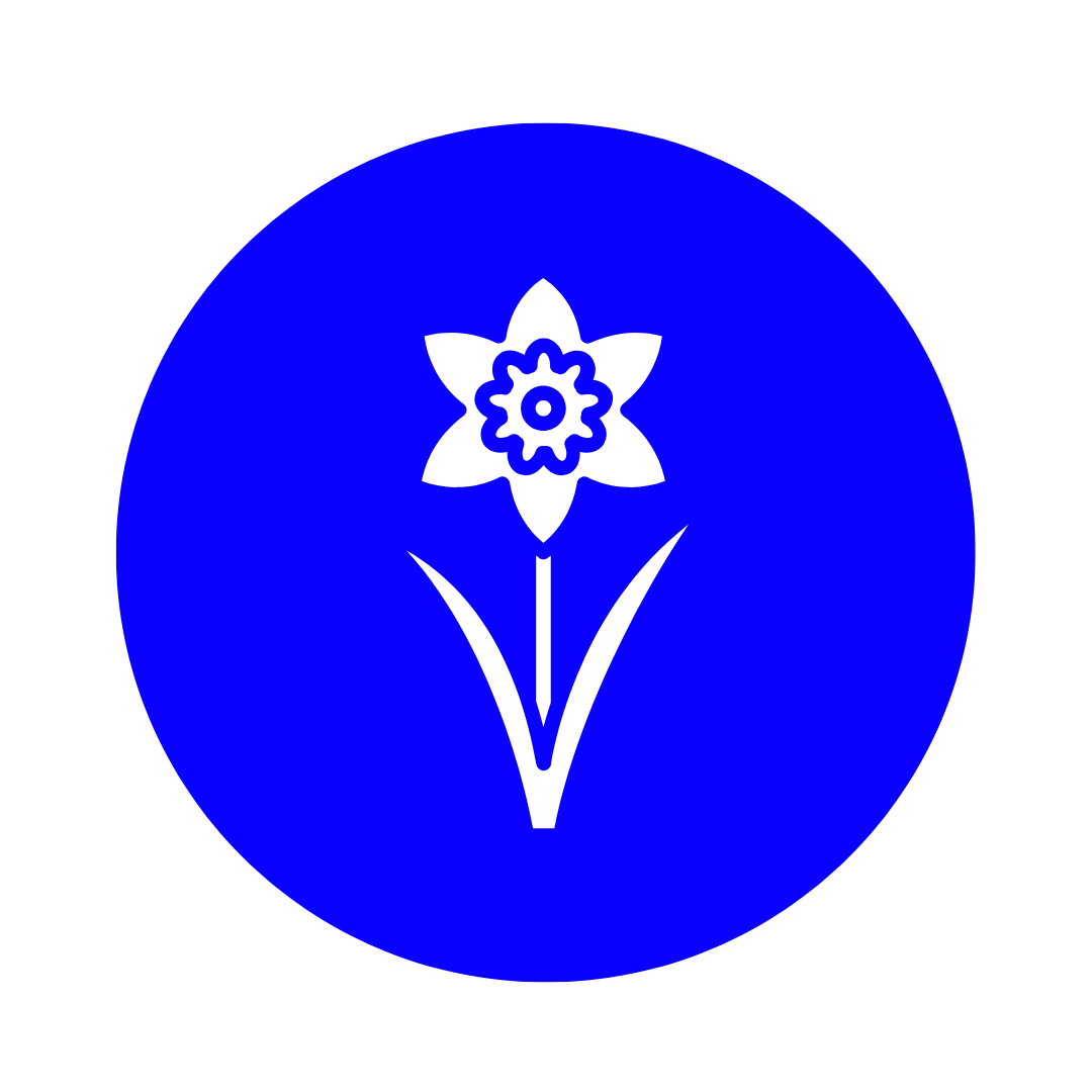 Sully Primary School - Climate Cymru